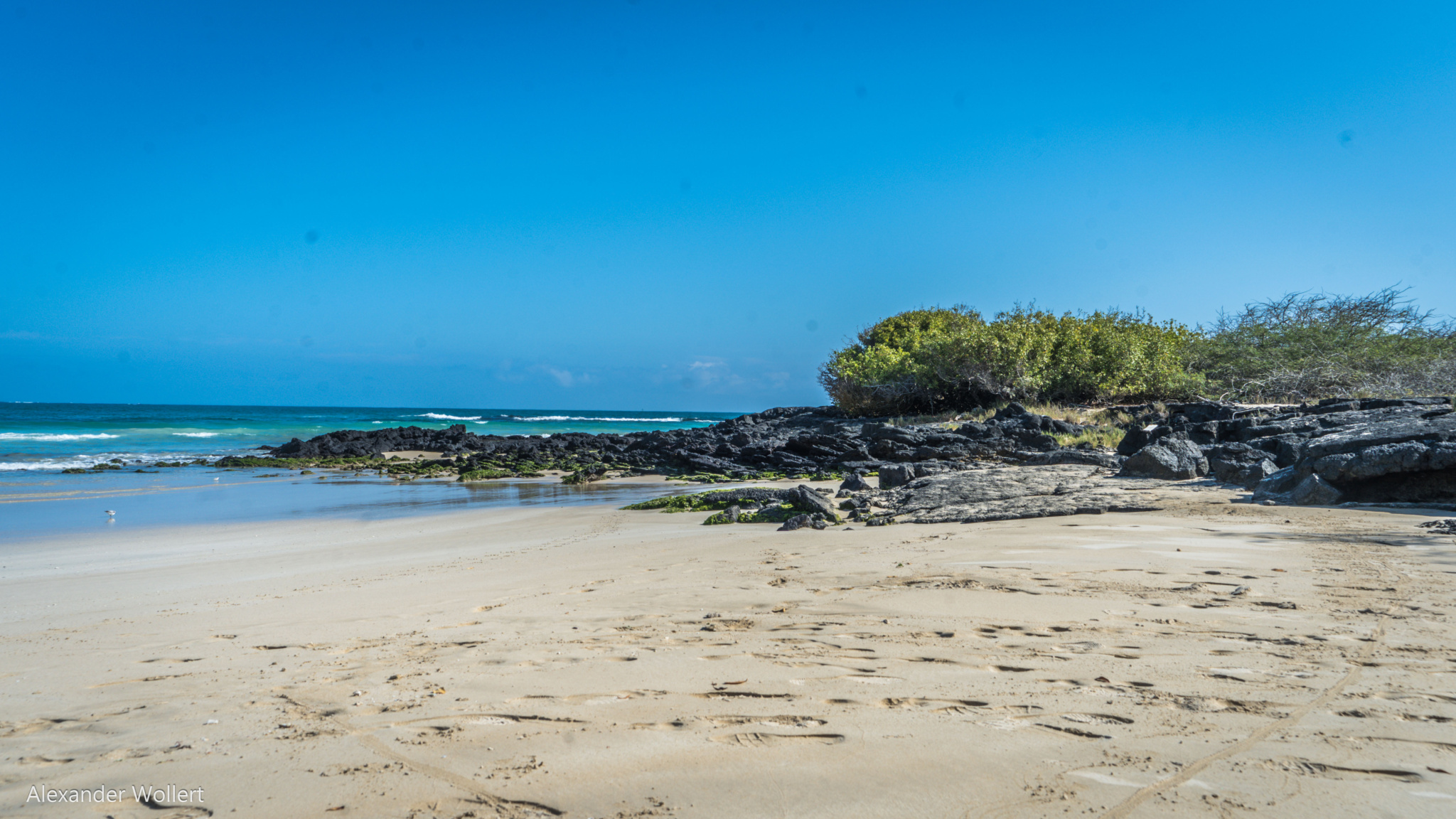 🇪🇨 The Black and White Beaches of Isabela