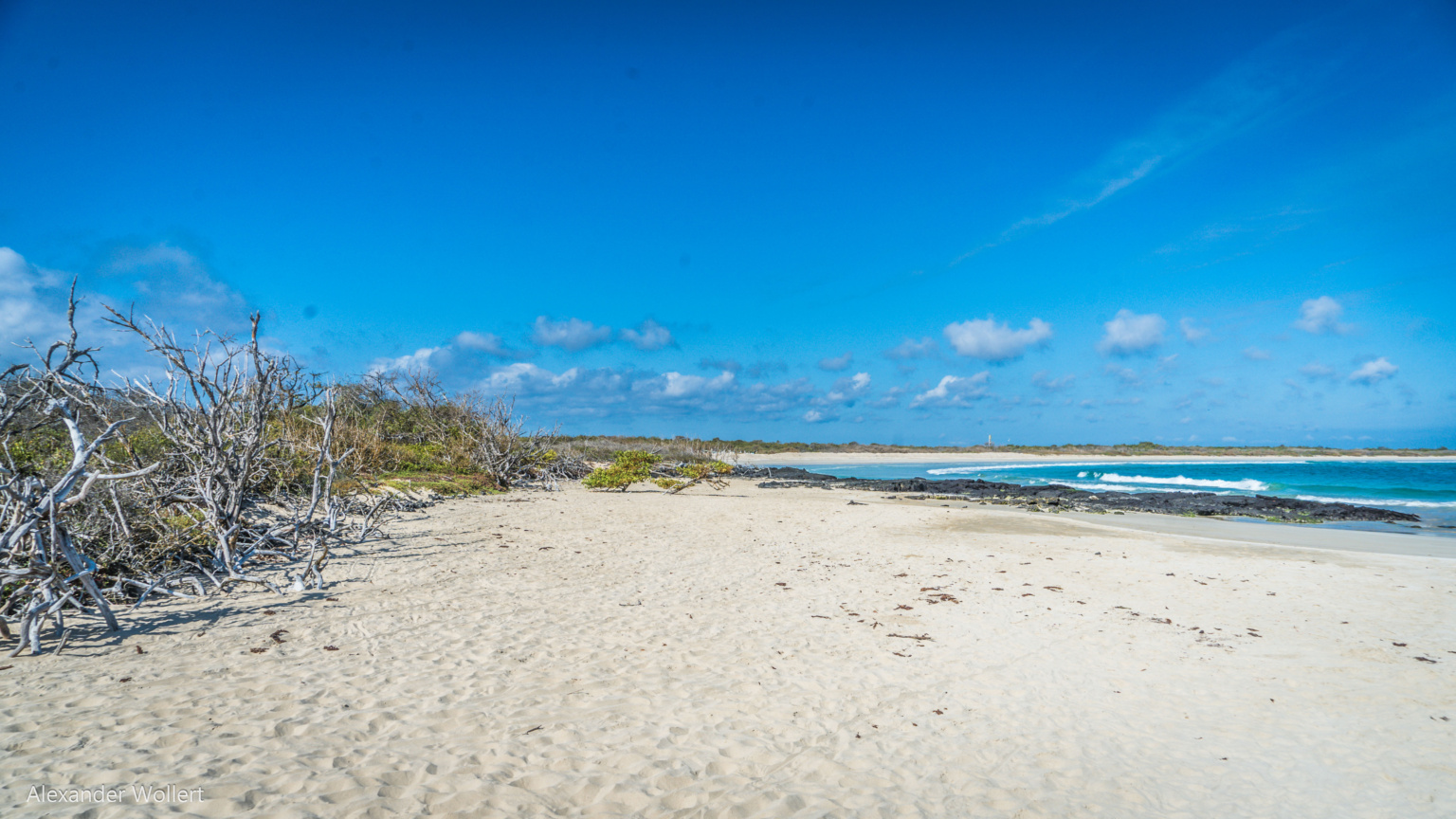 🇪🇨 The Black and White Beaches of Isabela