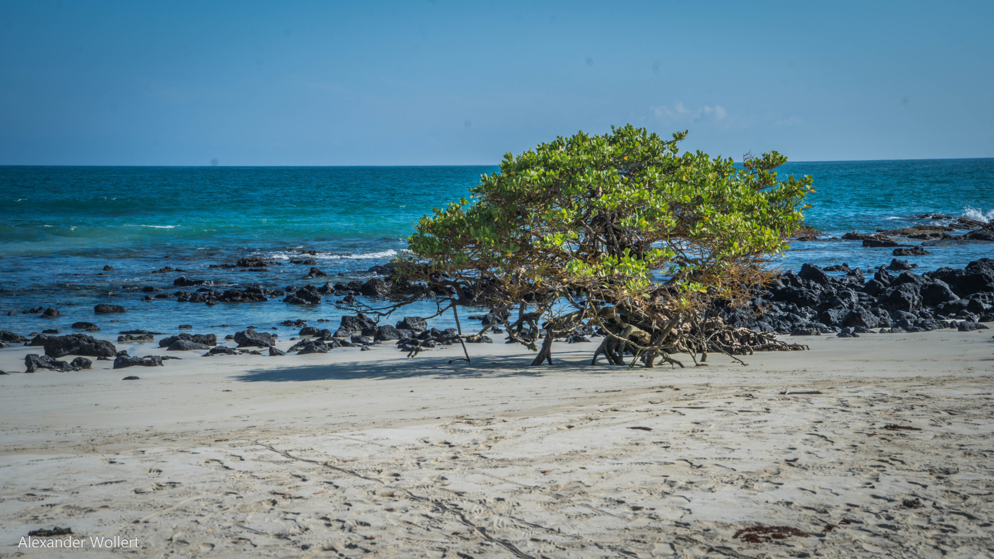 🇪🇨 The Black and White Beaches of Isabela