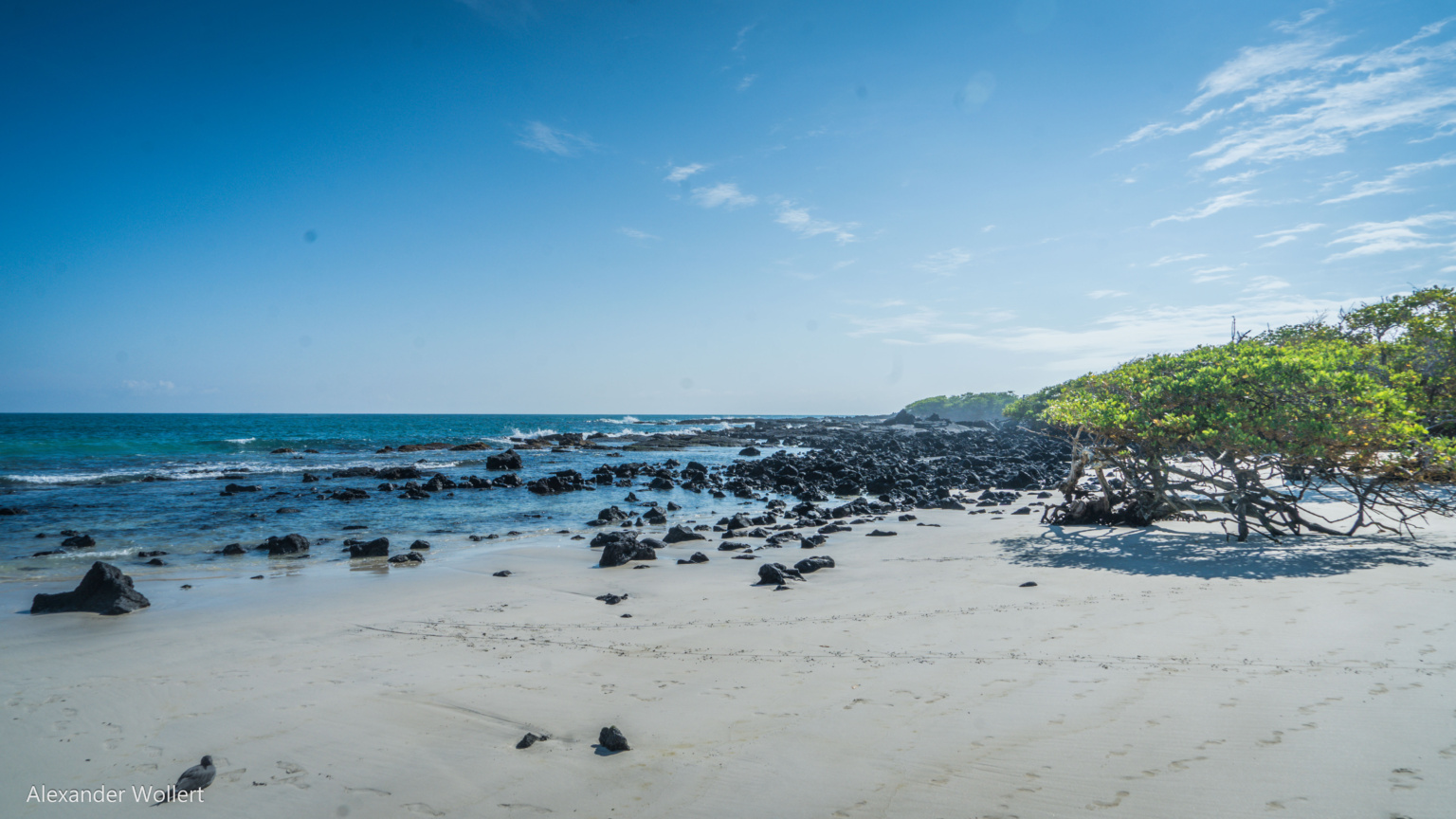 🇪🇨 The Black and White Beaches of Isabela