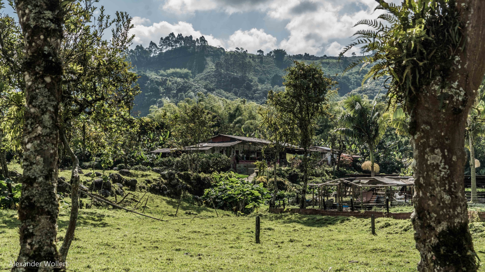 🇨🇴 Exploring the Valley of the Rio Quindio: An Overlander's Paradise