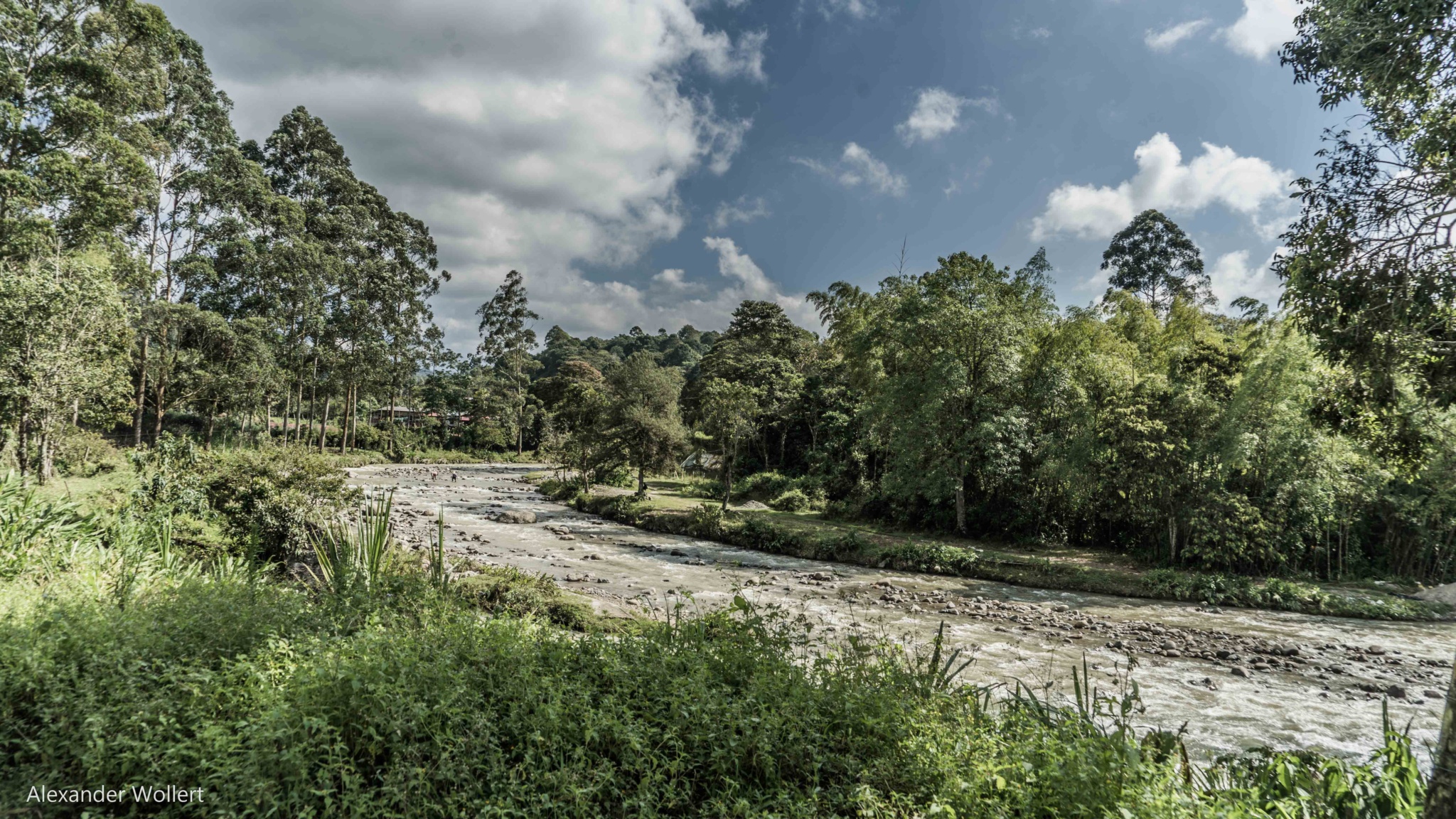 🇨🇴 Exploring the Valley of the Rio Quindio: An Overlander’s Paradise