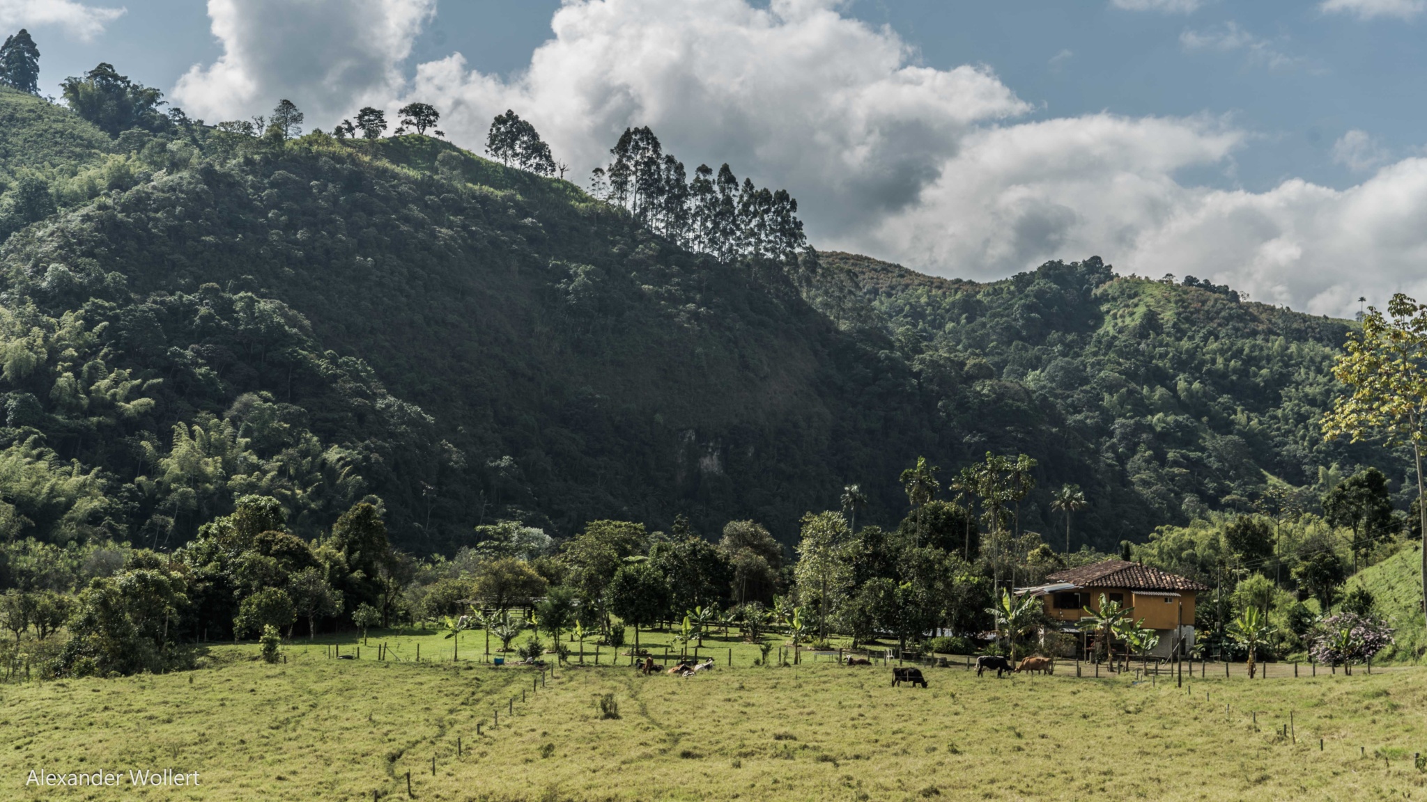 🇨🇴 Exploring the Valley of the Rio Quindio: An Overlander’s Paradise