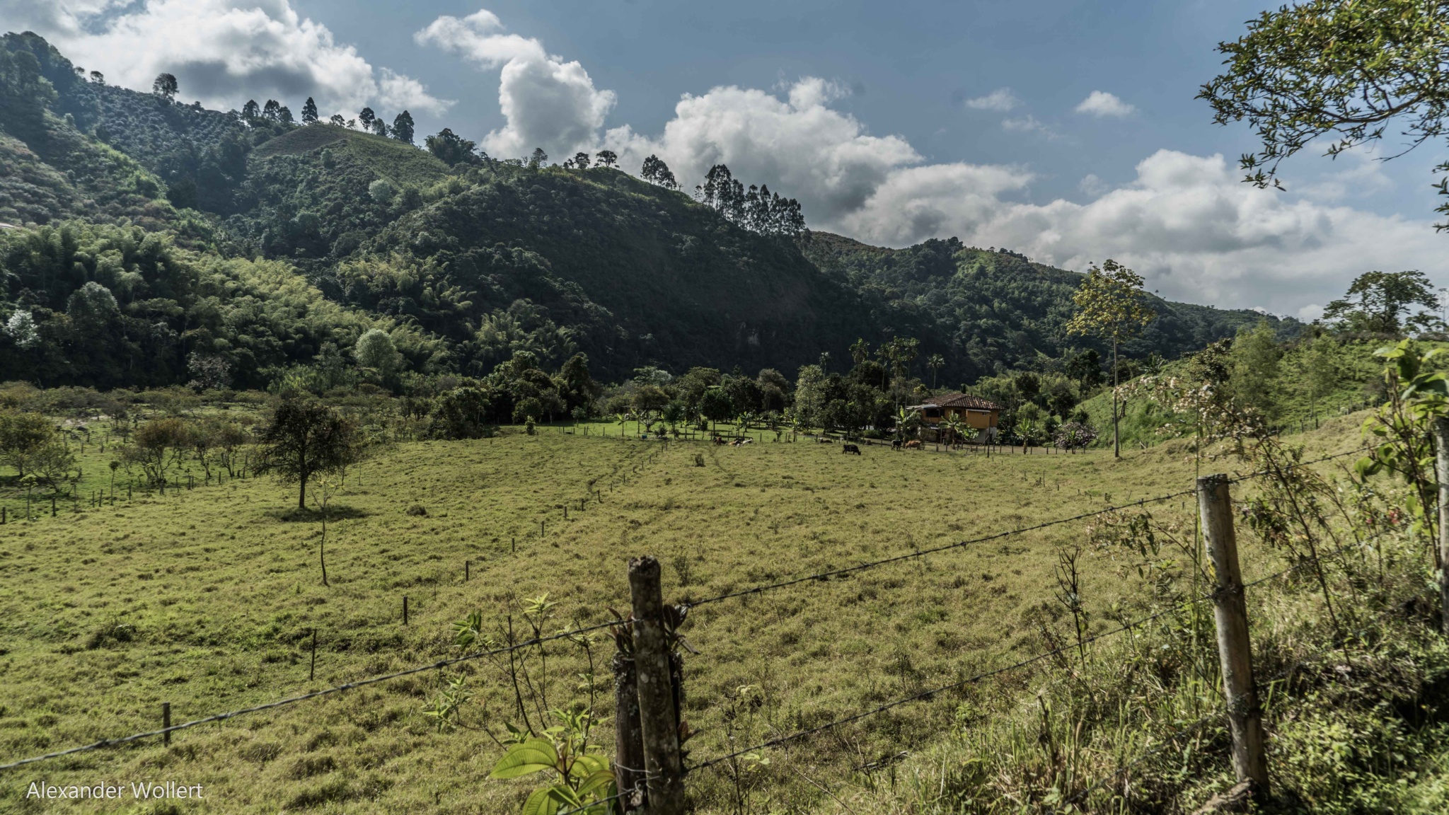 🇨🇴 Exploring the Valley of the Rio Quindio: An Overlander's Paradise